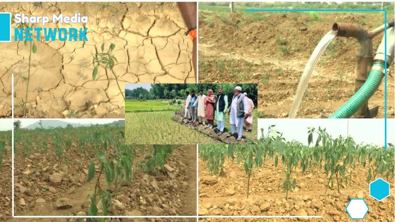 IIOJK’s Agricultural Crisis Amid Farmers’ Protest Destructive Land ...
